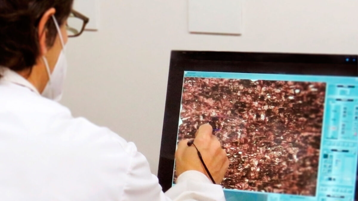 Microscopía | IBYME